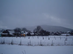 Commune of Poieni-Solca, Suceava | Familypedia | Fandom