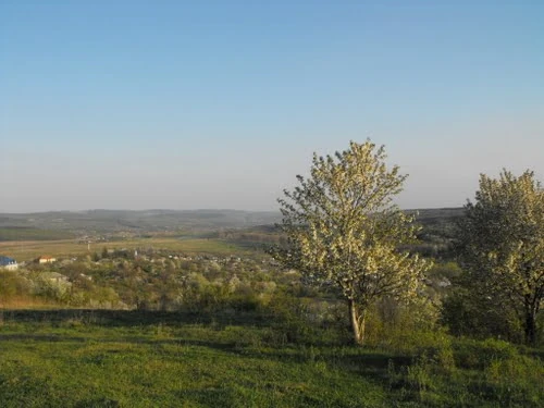 Corcodel, Iași | Familypedia | Fandom