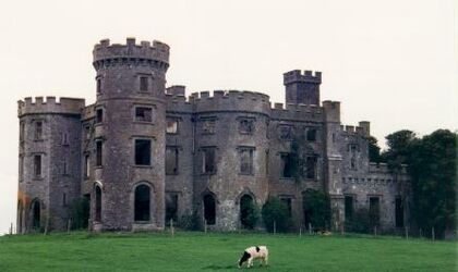 Killua Castle | Familypedia | Fandom