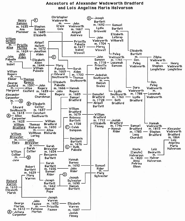 Hannah Wadsworth (1796-) | Familypedia | Fandom