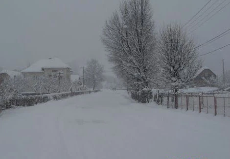 Moldovița, Suceava | Familypedia | Fandom