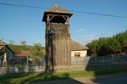 Tomor | Familypedia | Fandom