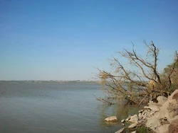 Vânători, Galați | Familypedia | Fandom