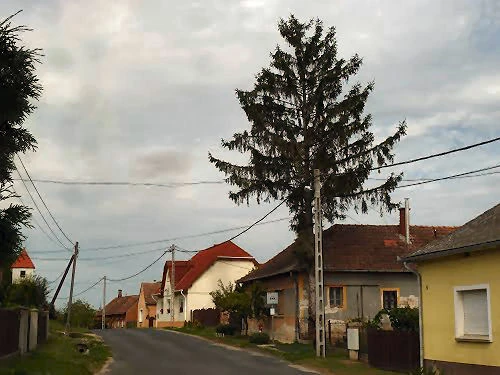 Ortaháza | Familypedia | Fandom