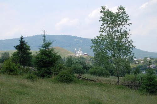 Capu Câmpului, Suceava | Familypedia | Fandom