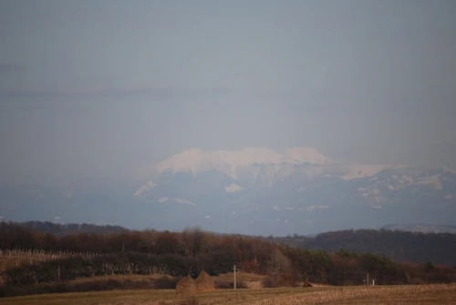 Commune of Boiu Mare, Maramureș | Familypedia | Fandom