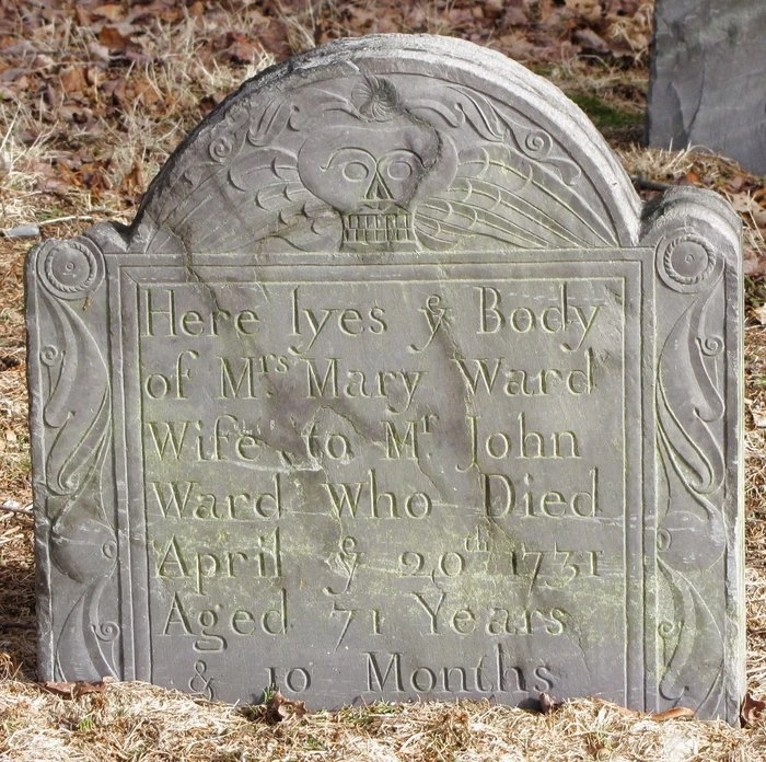 Mary Spring (1659-1731) | Familypedia | Fandom