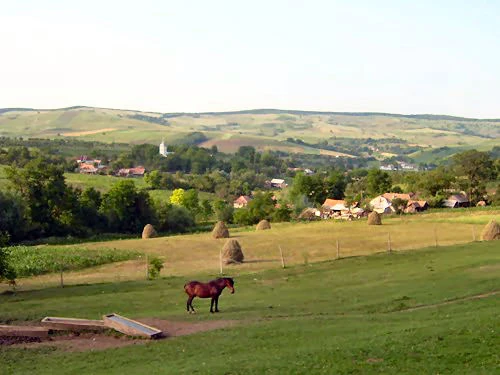 Jimbor, Bistrița-Năsăud | Familypedia | Fandom
