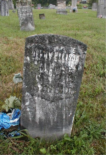 Henry Clay Ellison (1832-1895) | Familypedia | Fandom