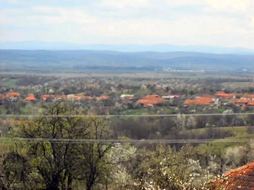 Bucovăț (Dumbrava), Timiș | Familypedia | Fandom