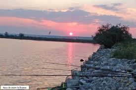 Bugeac, Constanța | Familypedia | Fandom