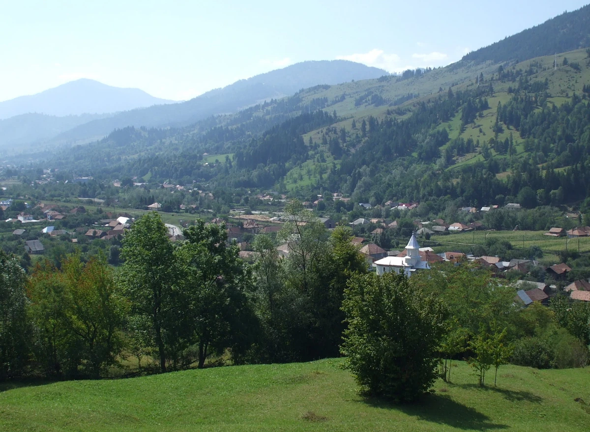 Brusturoasa, Bacău | Familypedia | Fandom