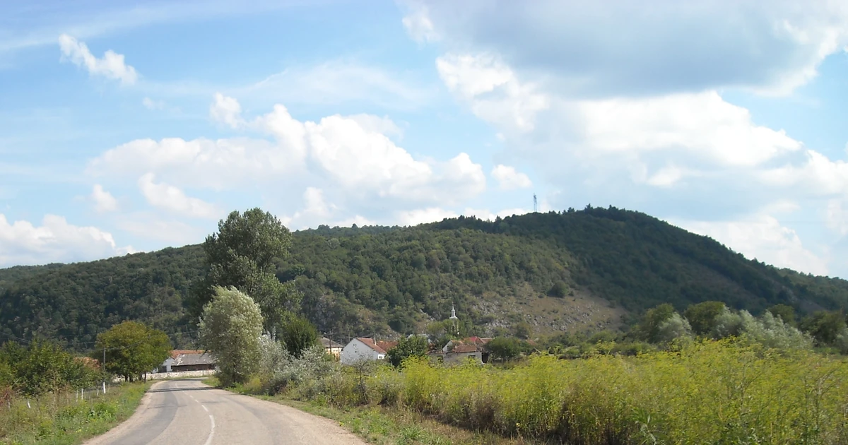 Căprioara, Arad | Familypedia | Fandom