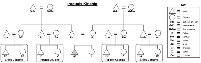 Iroquois kinship | Familypedia | Fandom