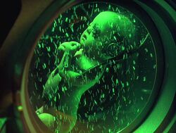Borg | Star Trek - Generation Fleet Wiki | Fandom