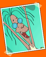 Nub | Generation O! Wiki | Fandom