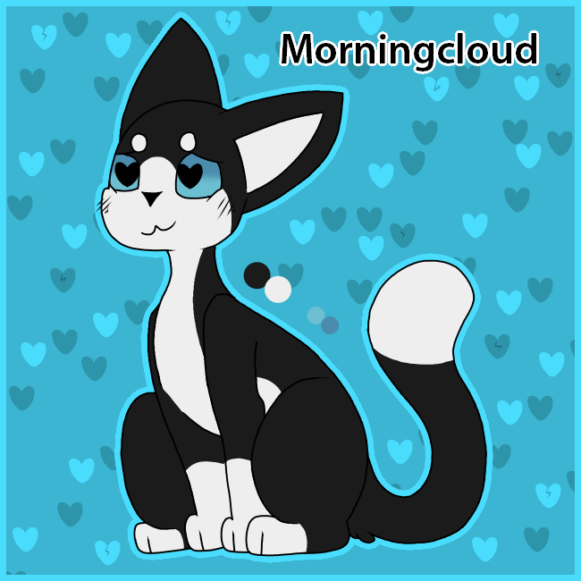 Morningcloud | Generations Warriors OCs Wiki | Fandom