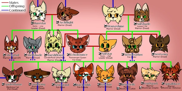 Echobounce | Generations Warriors OCs Wiki | Fandom