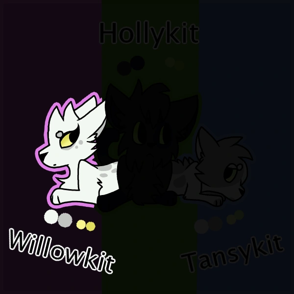 Willowkit | Generations Warriors OCs Wiki | Fandom