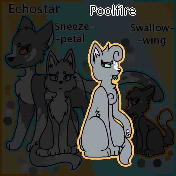 Poolfire | Generations Warriors OCs Wiki | Fandom