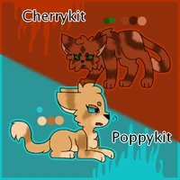 Cherrykit | Generations Warriors OCs Wiki | Fandom
