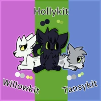 Hollykit | Generations Warriors OCs Wiki | Fandom