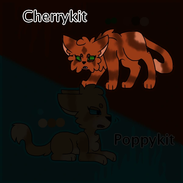 Cherrykit | Generations Warriors OCs Wiki | Fandom
