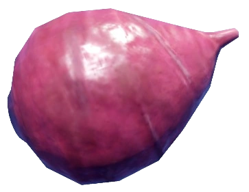 Beetroot | Generic Cooking Game Wiki | Fandom