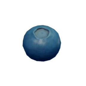 Blueberry | Generic Cooking Game Wiki | Fandom