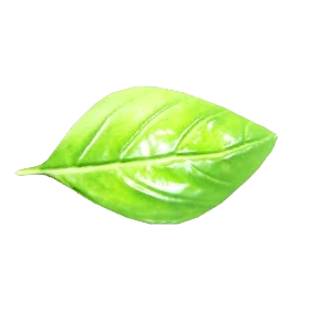 Basil | Generic Cooking Game Wiki | Fandom