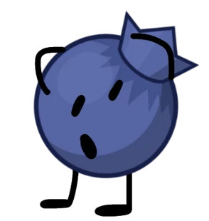 Blueberry/Gallery | Generic Object Battle Wiki | Fandom