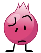 Pomegranate/Gallery | Generic Object Battle Wiki | Fandom