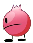 Pomegranate/Gallery | Generic Object Battle Wiki | Fandom