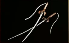 Sword of Light | Genji Wiki | Fandom