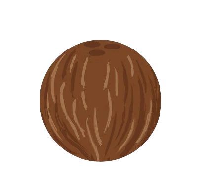 Coconut | Genshin Impact Fanon Wiki | Fandom