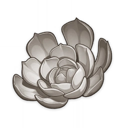 Gypsum Rose | Genshin Impact Fanon Wiki | Fandom