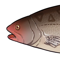 Black-Back Bass | Genshin Impact Wiki | Fandom