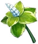 Minze | Genshin Impact Wiki | Fandom