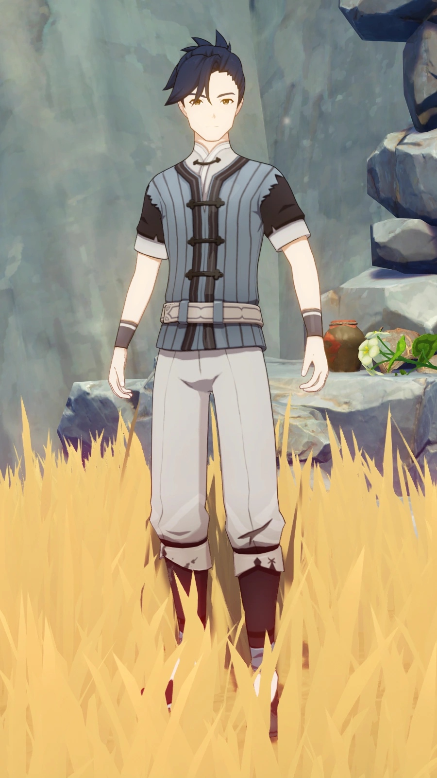 Wang | Genshin Impact Wiki | Fandom