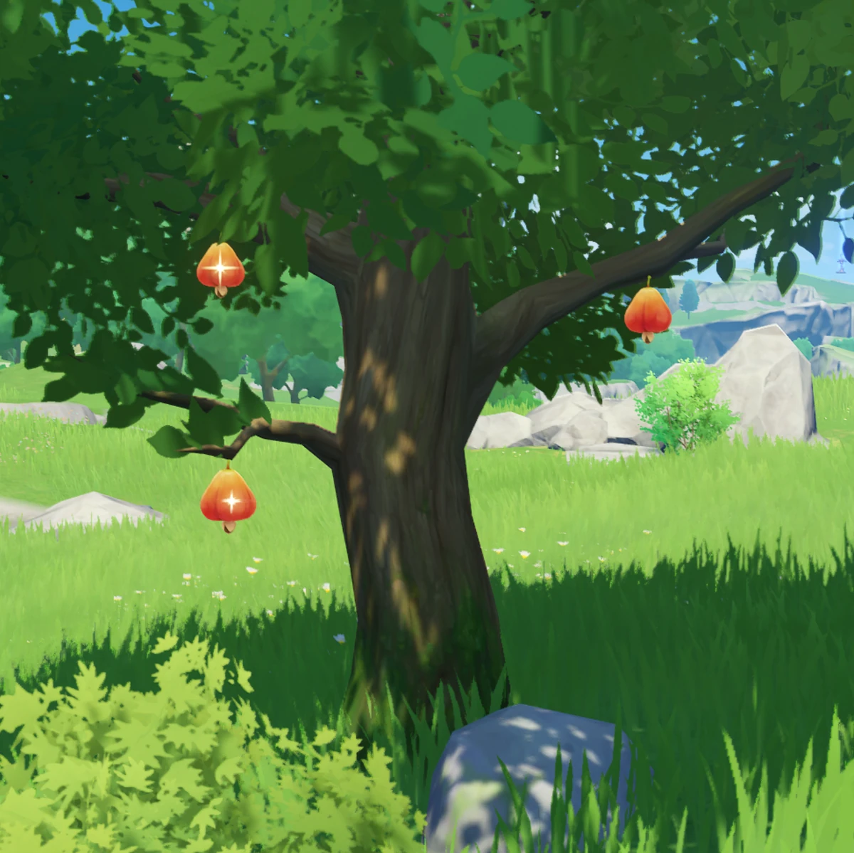 Sunsettia | Genshin Impact Wiki | Fandom