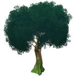 Tree | Genshin Impact Wiki | Fandom