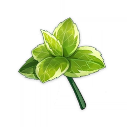 Mint | Genshin Impact Wiki | Fandom