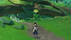 Dendro Specter | Genshin Impact Wiki | Fandom