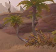 Athel Wood | Genshin Impact Wiki | Fandom