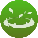 Dendro Field | Genshin Impact Wiki | Fandom