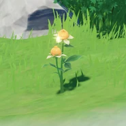 Sweet Flower | Genshin Impact Wiki | Fandom