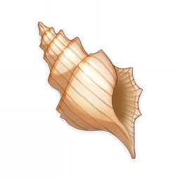 Mysterious Conch | Genshin Impact Wiki | Fandom