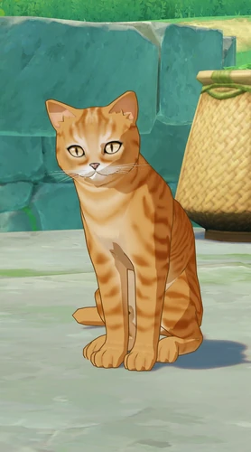 Daju | Genshin Impact Wiki | Fandom