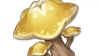 Discuss Everything About Genshin Impact Wiki | Fandom