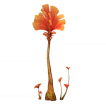 Tree | Genshin Impact Wiki | Fandom